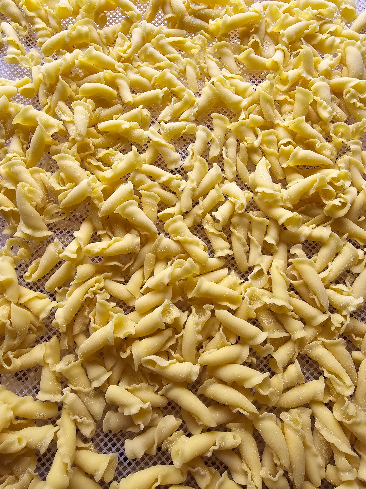 Campanelle – Forme Pasta Company